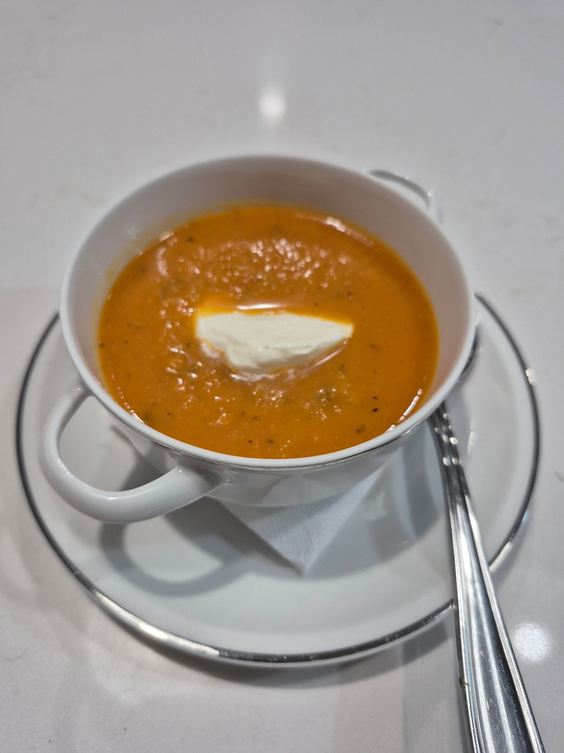 Newsletter # 61 – Roasted Tomato Soup / Sauce - COOKING FOR SENIORS